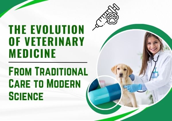 The Evolution of Veterinary Medicine: From Traditional Care to Modern ...